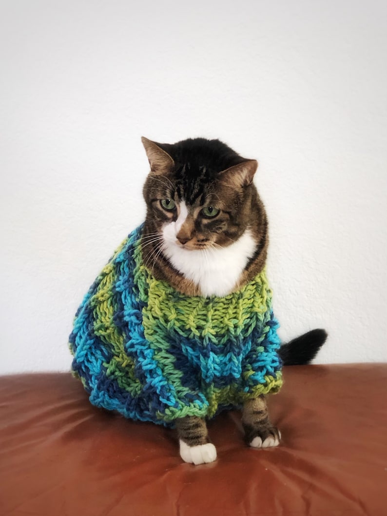 Chunky Knit Sweater for Cat Oversized Cat Sweater Blue Green - Etsy