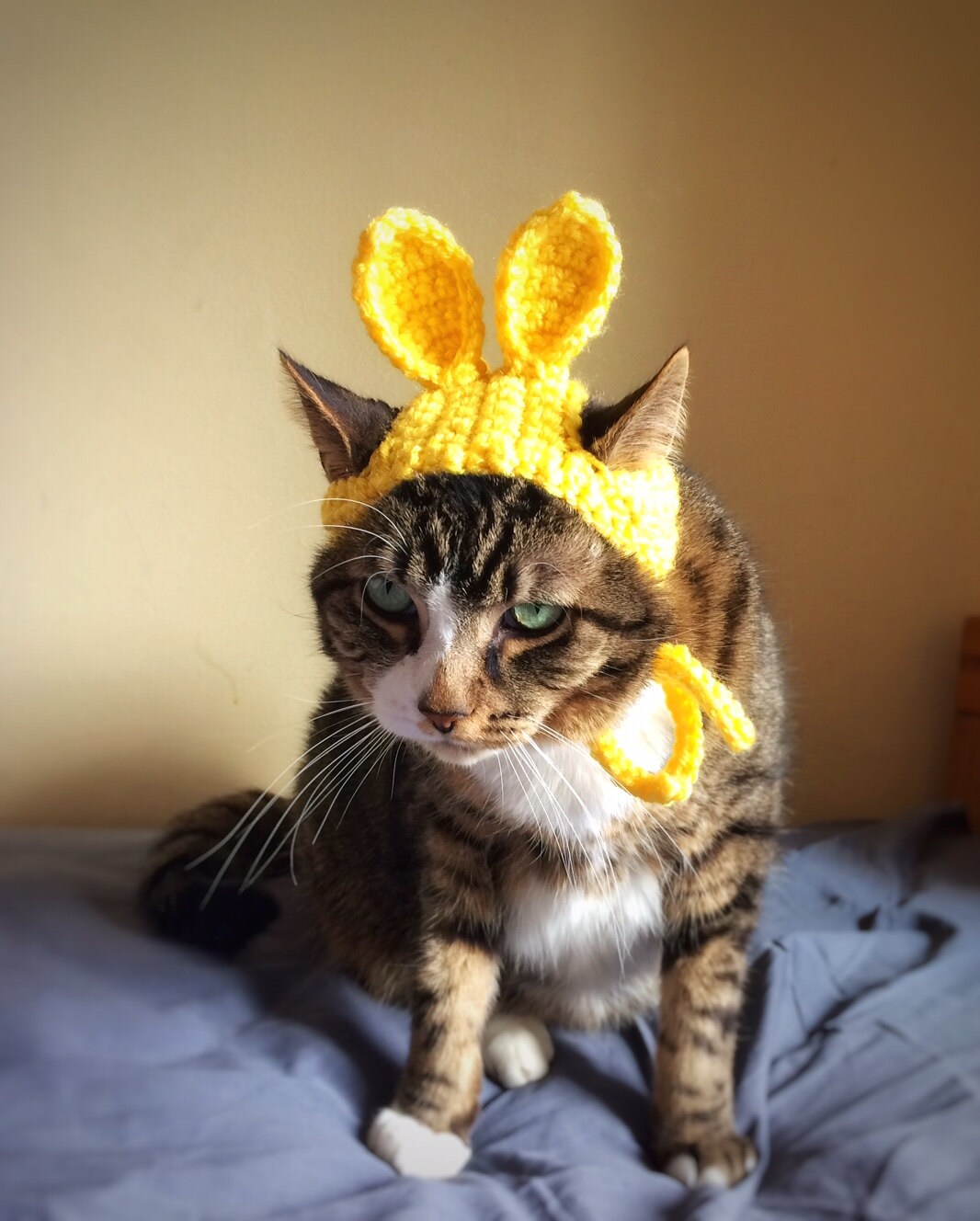 Easter Bunny Hat for Cat Crochet Yellow Costume Hat for Cat Unique ...