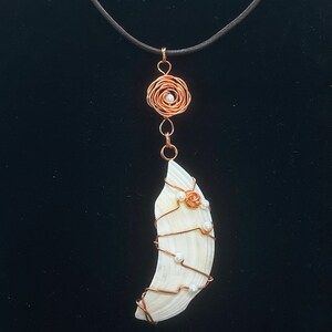 Seashell Necklace, Recycled Florida Seashells, Wire Wrapped Jewelry ...