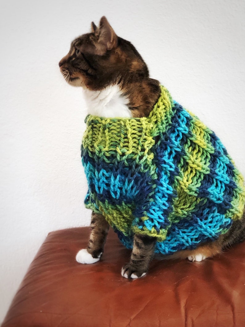 Chunky Knit Sweater for Cat Oversized Cat Sweater Blue Green - Etsy