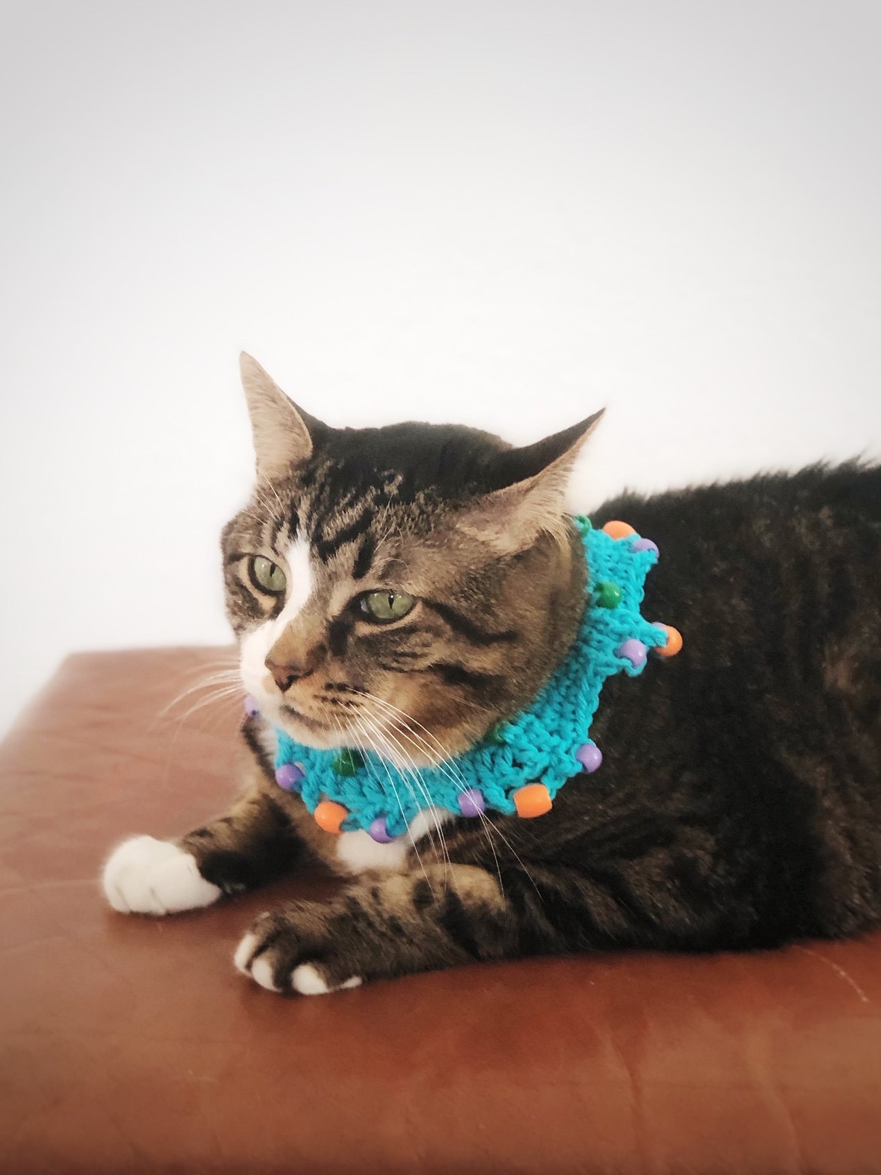 Crochet Elastic Cat Collar Beaded Cat Scarf Blue Multicolored Beads ...