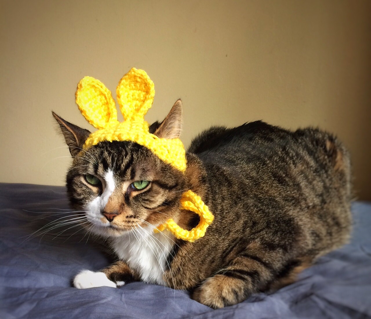 Easter Bunny Hat for Cat Crochet Yellow Costume Hat for Cat Unique ...