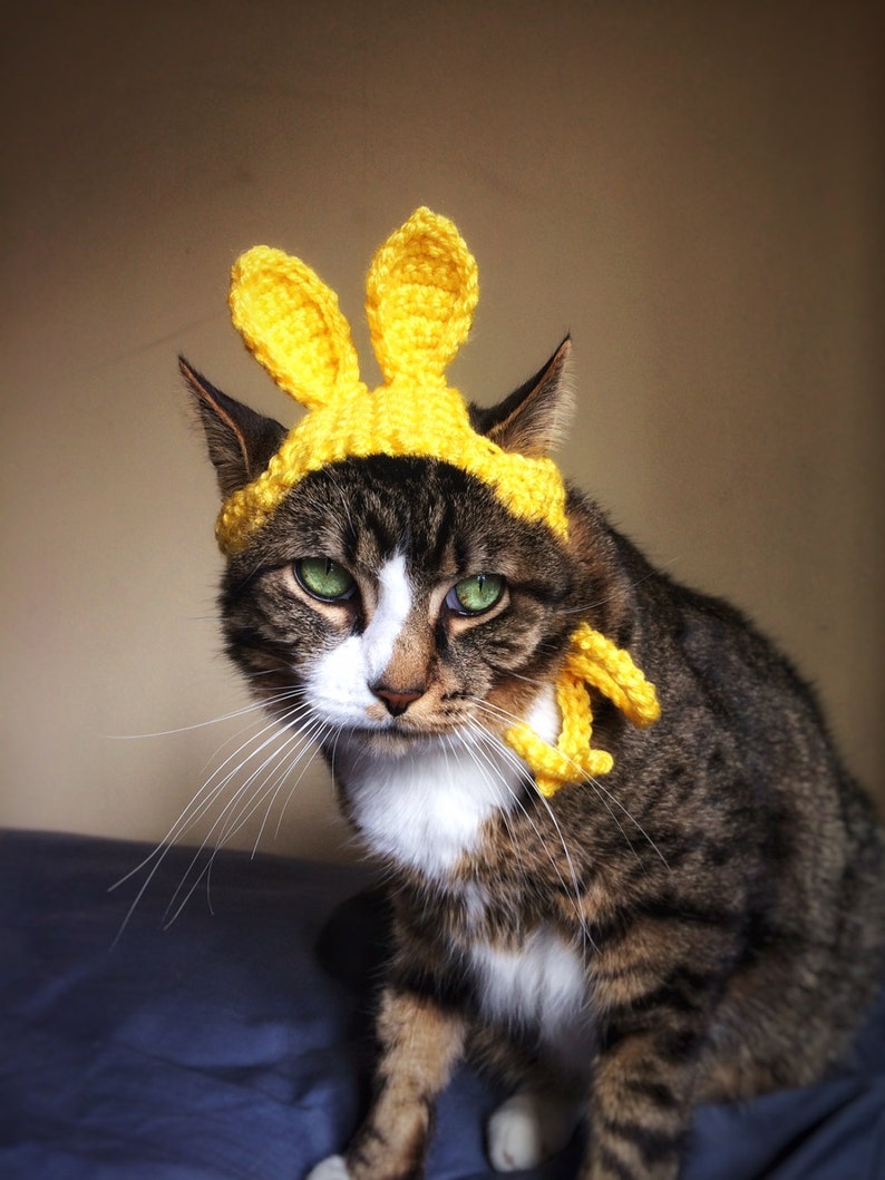 Easter Bunny Hat for Cat Crochet Yellow Costume Hat for Cat Unique ...