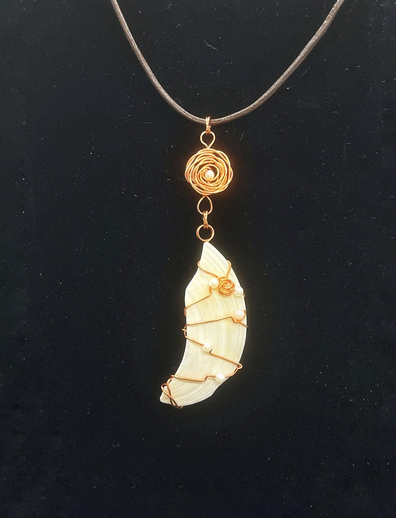 Seashell Necklace, Recycled Florida Seashells, Wire Wrapped Jewelry ...