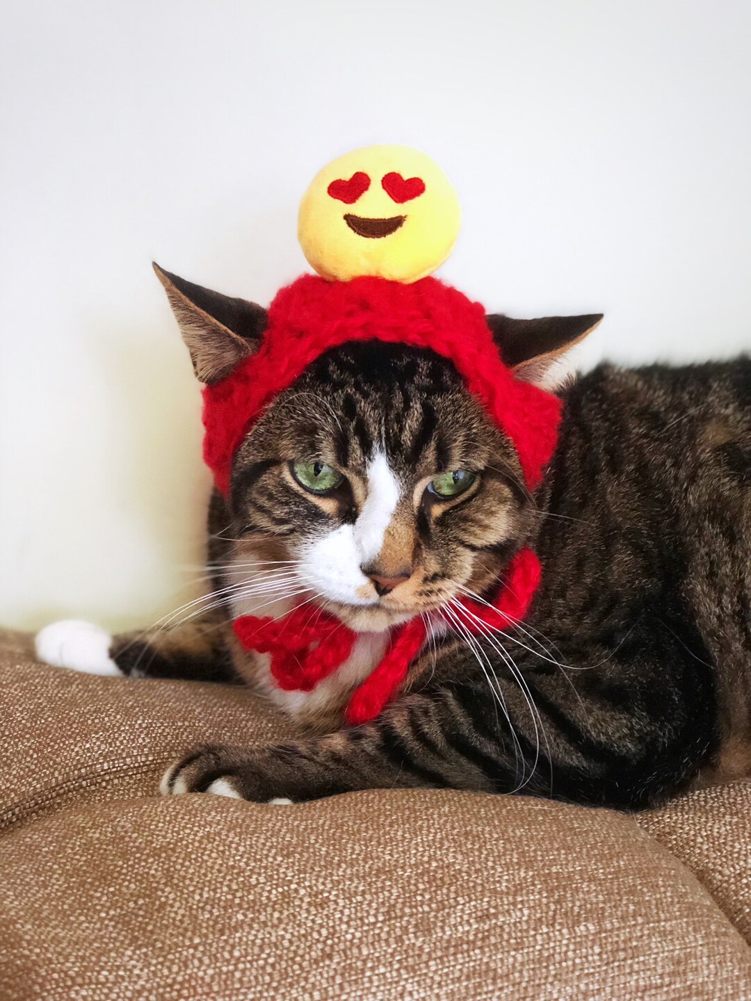 Halloween Costume Smiley Face Cat Hat Red Crochet Unique Handmade Dog ...