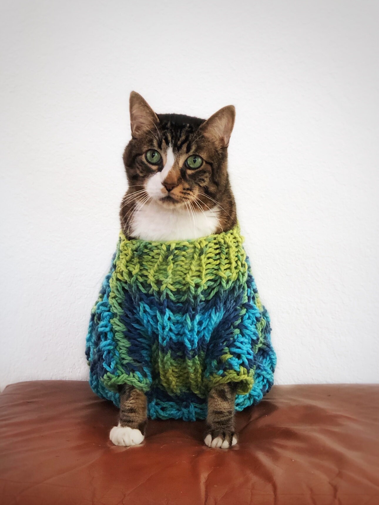 Chunky Knit Sweater for Cat Oversized Cat Sweater Blue Green - Etsy