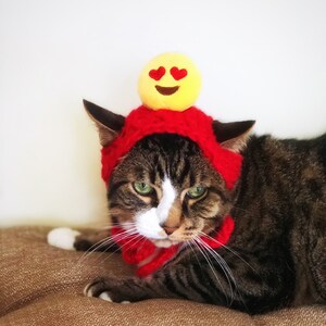 Halloween Costume Smiley Face Cat Hat Red Crochet Unique Handmade Dog ...