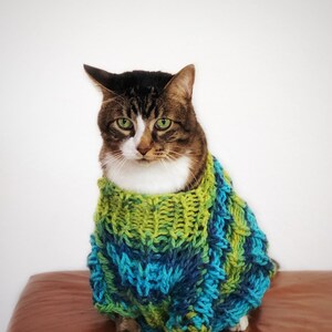 Chunky Knit Sweater for Cat Oversized Cat Sweater Blue Green - Etsy