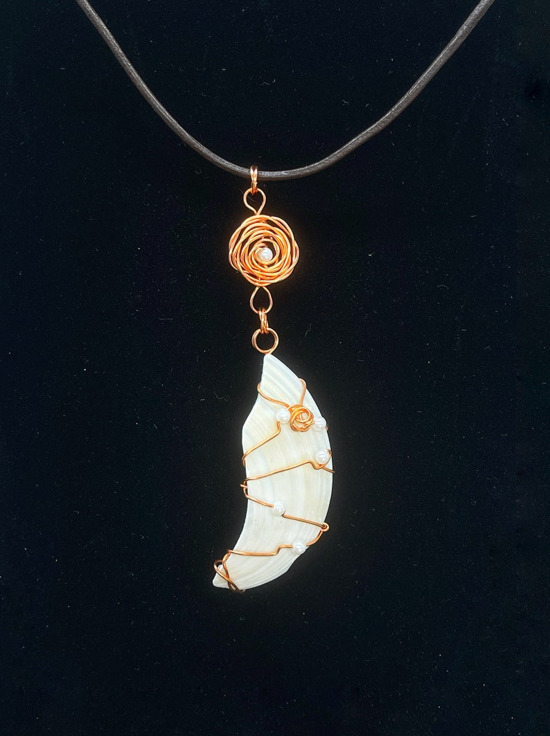 Seashell Necklace, Recycled Florida Seashells, Wire Wrapped Jewelry ...