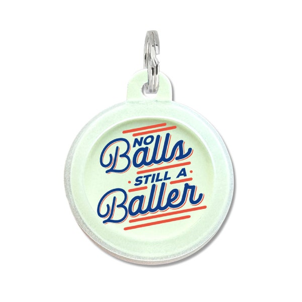 Funny Dog Tag - Etsy