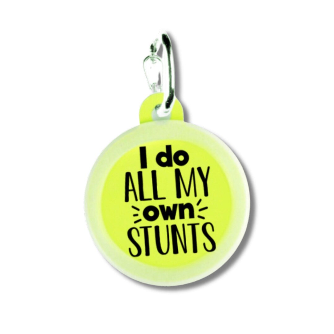 Funny Pet Tag for Dogs Personalized Silent Dog Tag Charm i Do All My ...