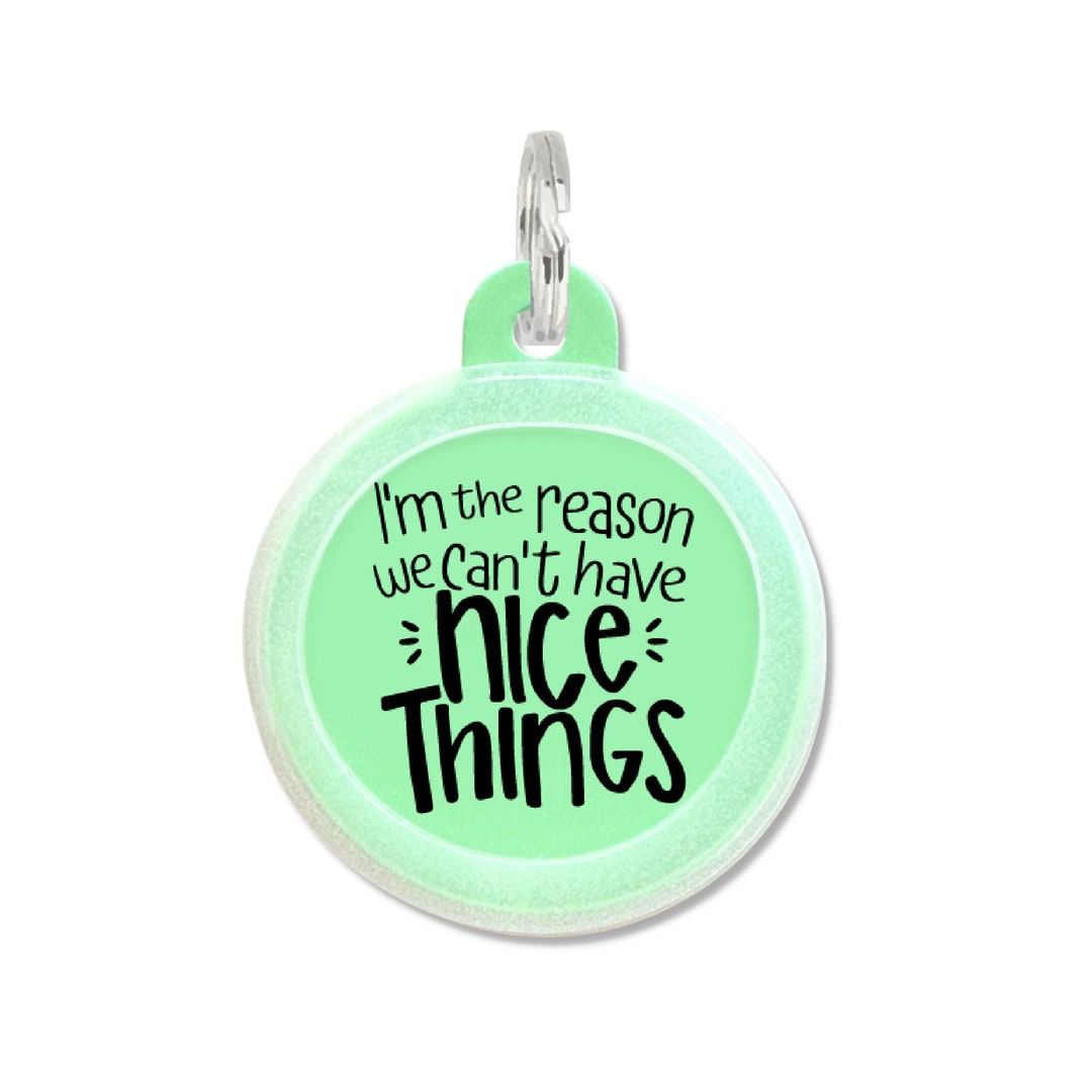 Funny Dog Tags for Dogs can't Have Nice Things Double Sided Silent ...