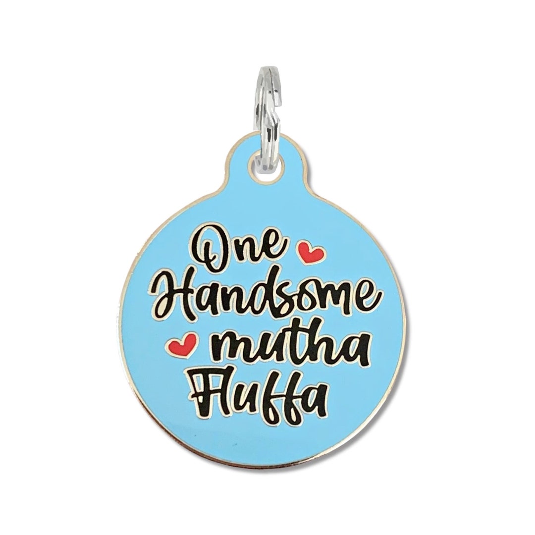 Enamel Dog Tag for Boy Dogs Cute Small or Large Blue Laser Engraved Pet ...