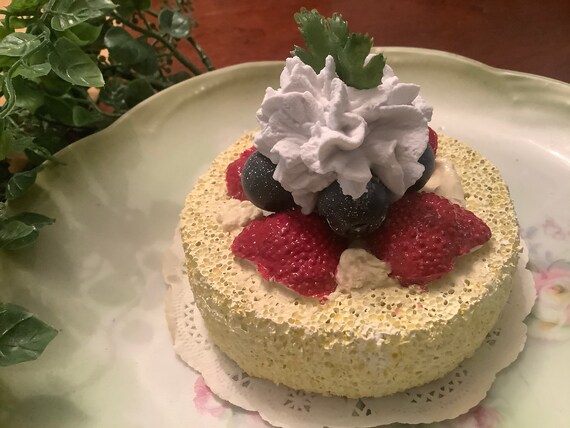 Strawberry /blueberry FAKE Sponge Cake | Etsy