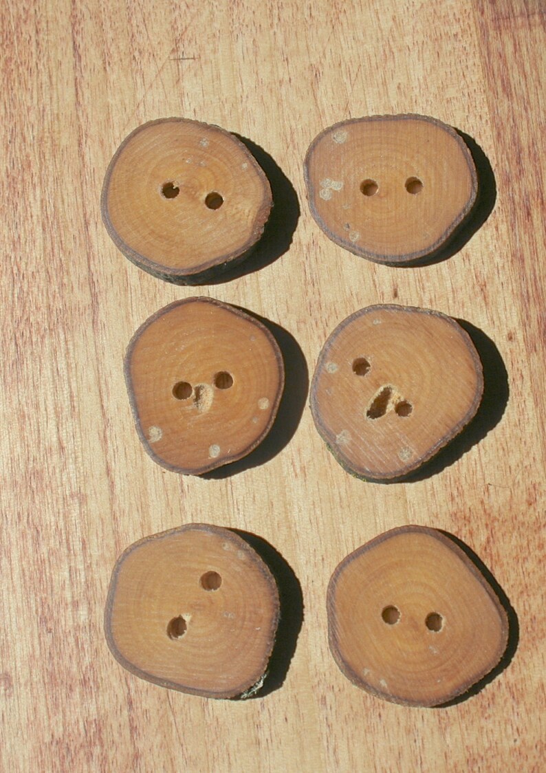 Handmade Wood Buttons Two Holed Olive Wood Branch Buttons Set - Etsy