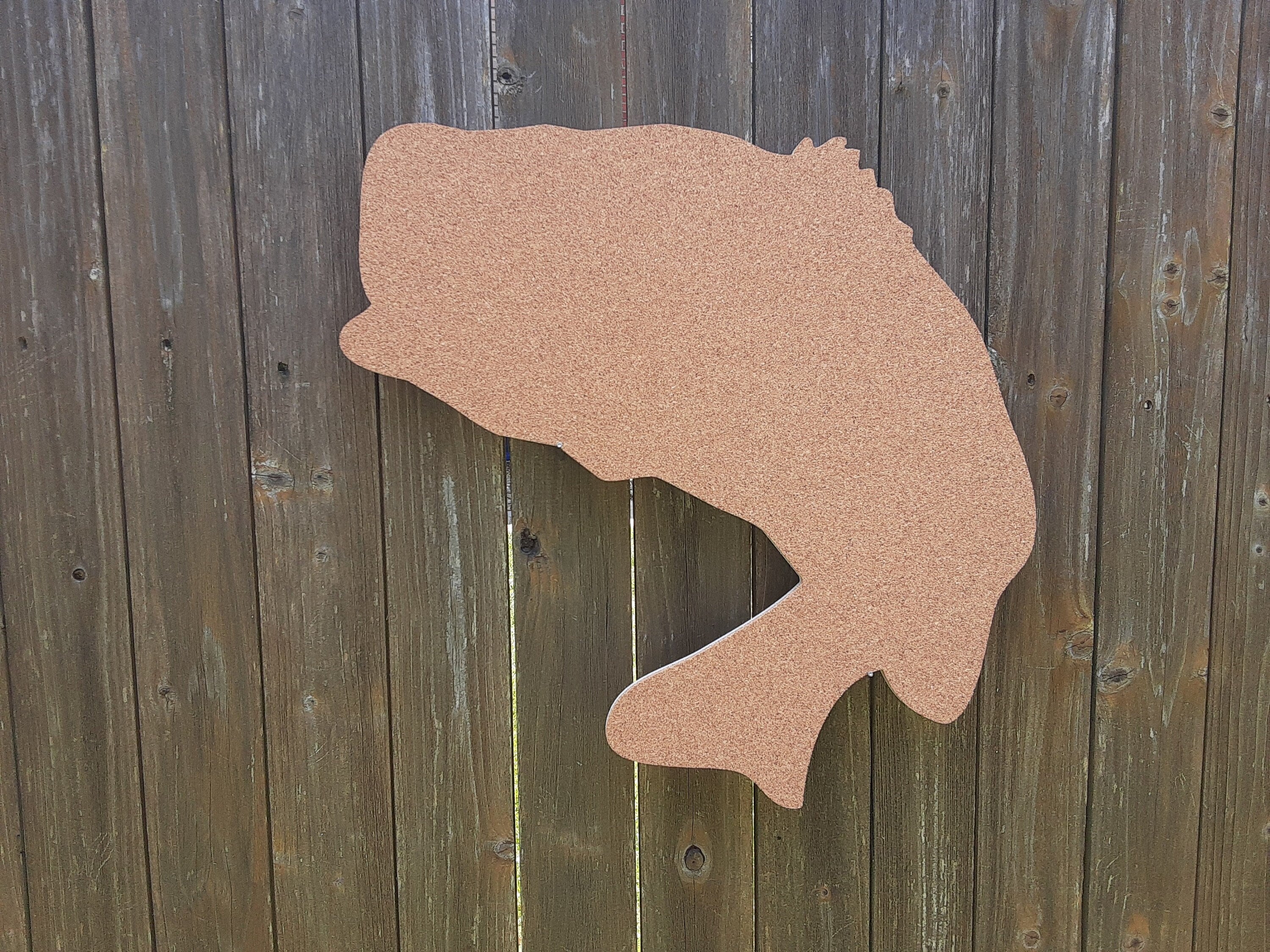 Fish Display Board - Etsy