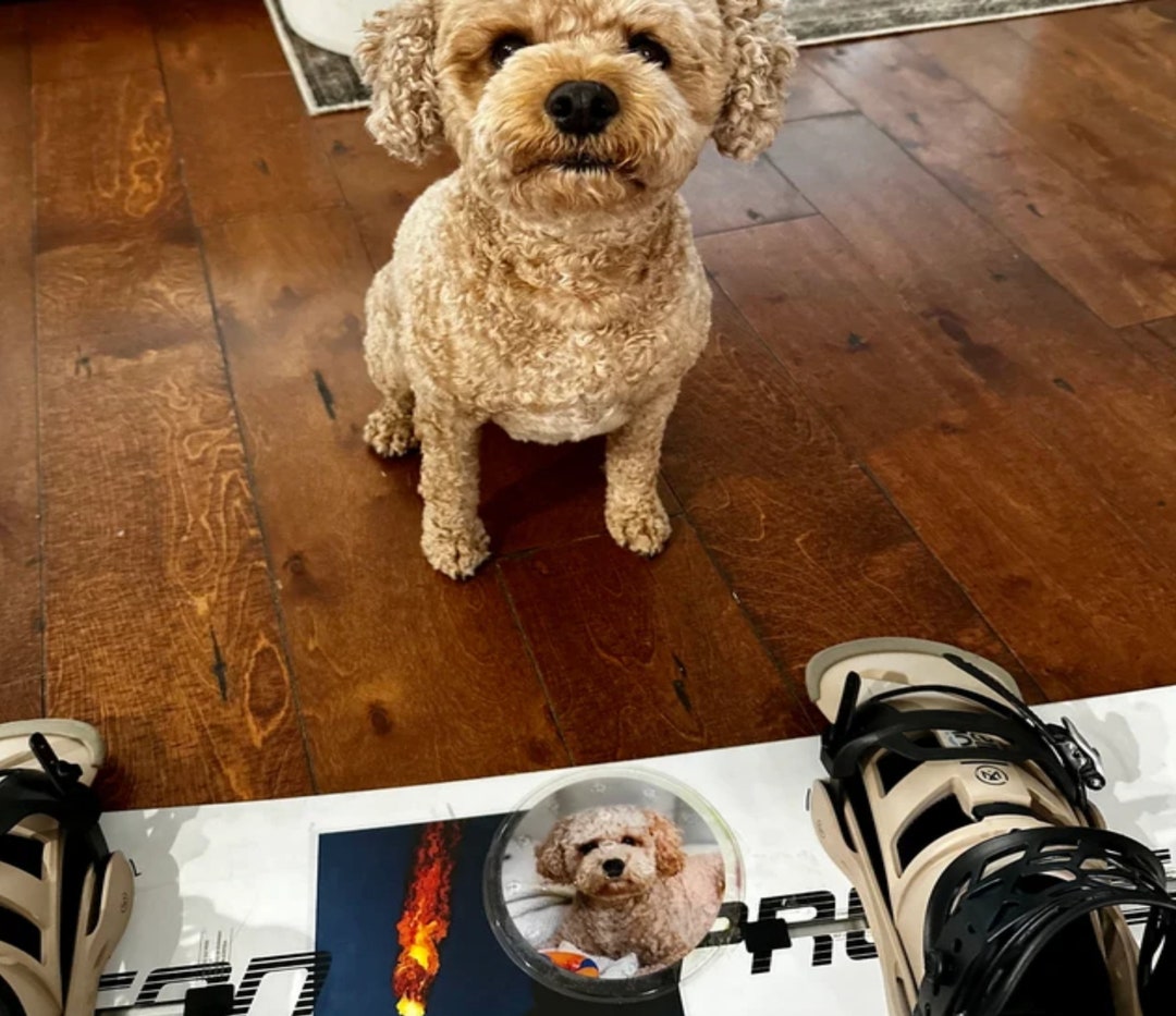 Personalized Stomp Pad, Custom Stomp Pad, Snowboard Stomp Pad ...