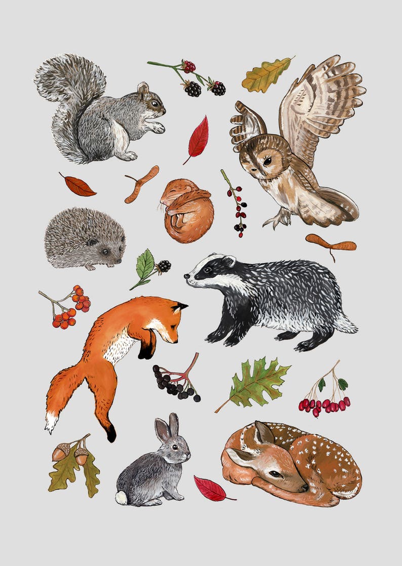 Woodland Creatures A4 Print - Etsy