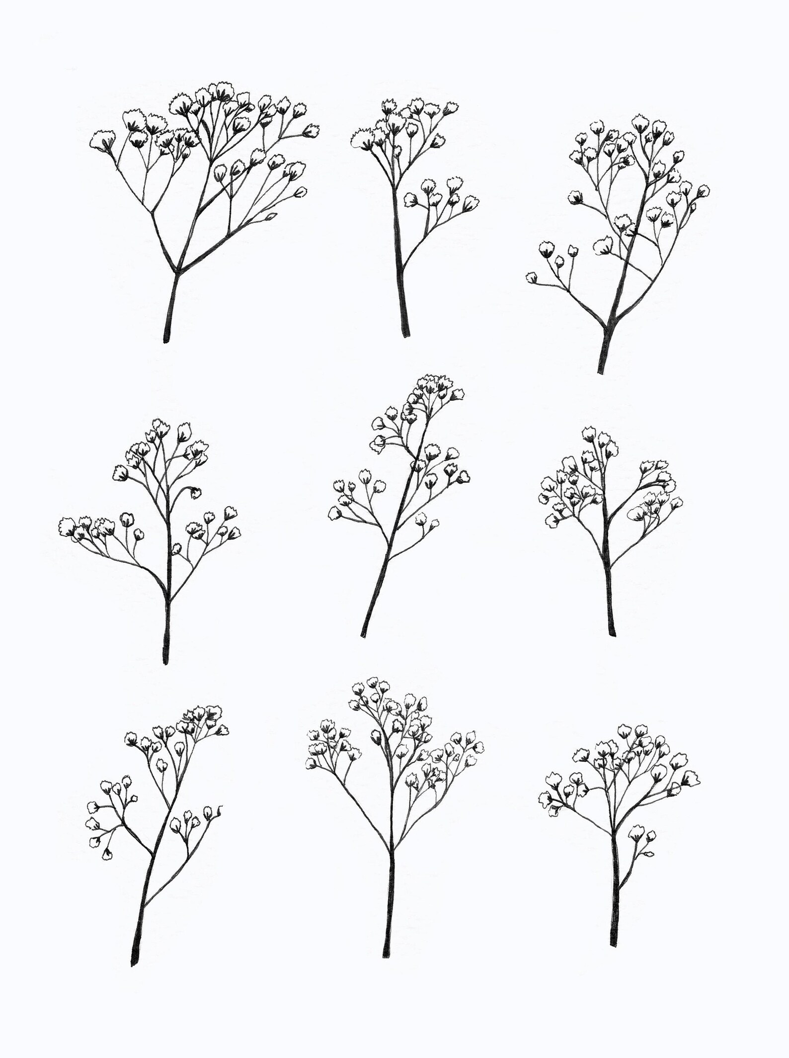 Gypsophila - Flower Line Illustration - A6 Mini Postcard Print - Etsy