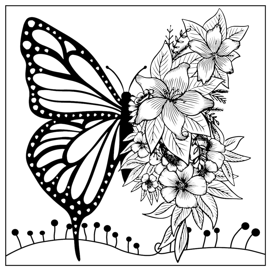 Huge Coloring Poster - Butterfly With Flowers - Etsy