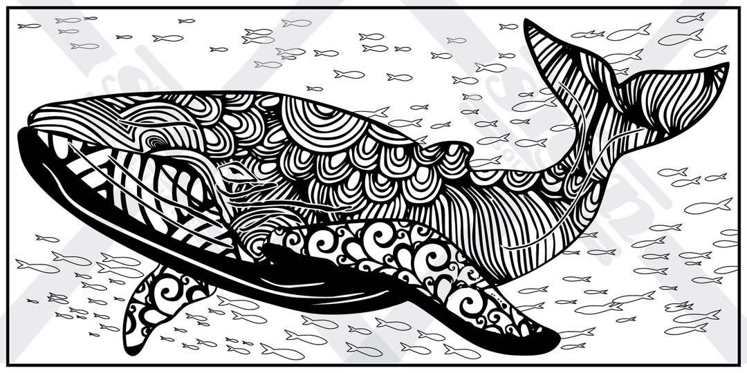 Huge Coloring Poster-blue Whale - Etsy