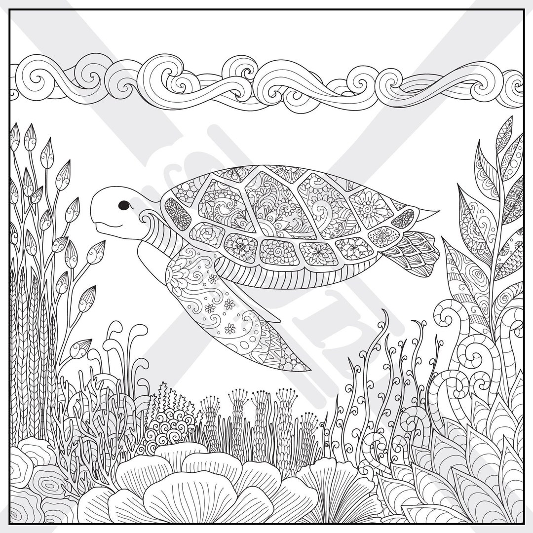 Huge Coloring Poster - Sea Turtle - Etsy