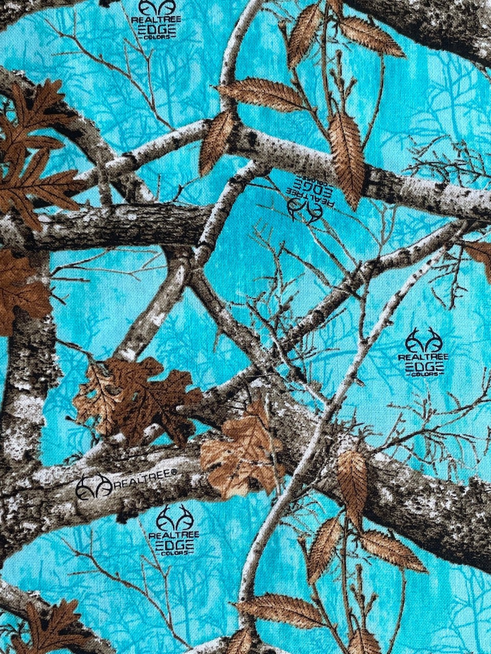 Blue Realtree Camo Background