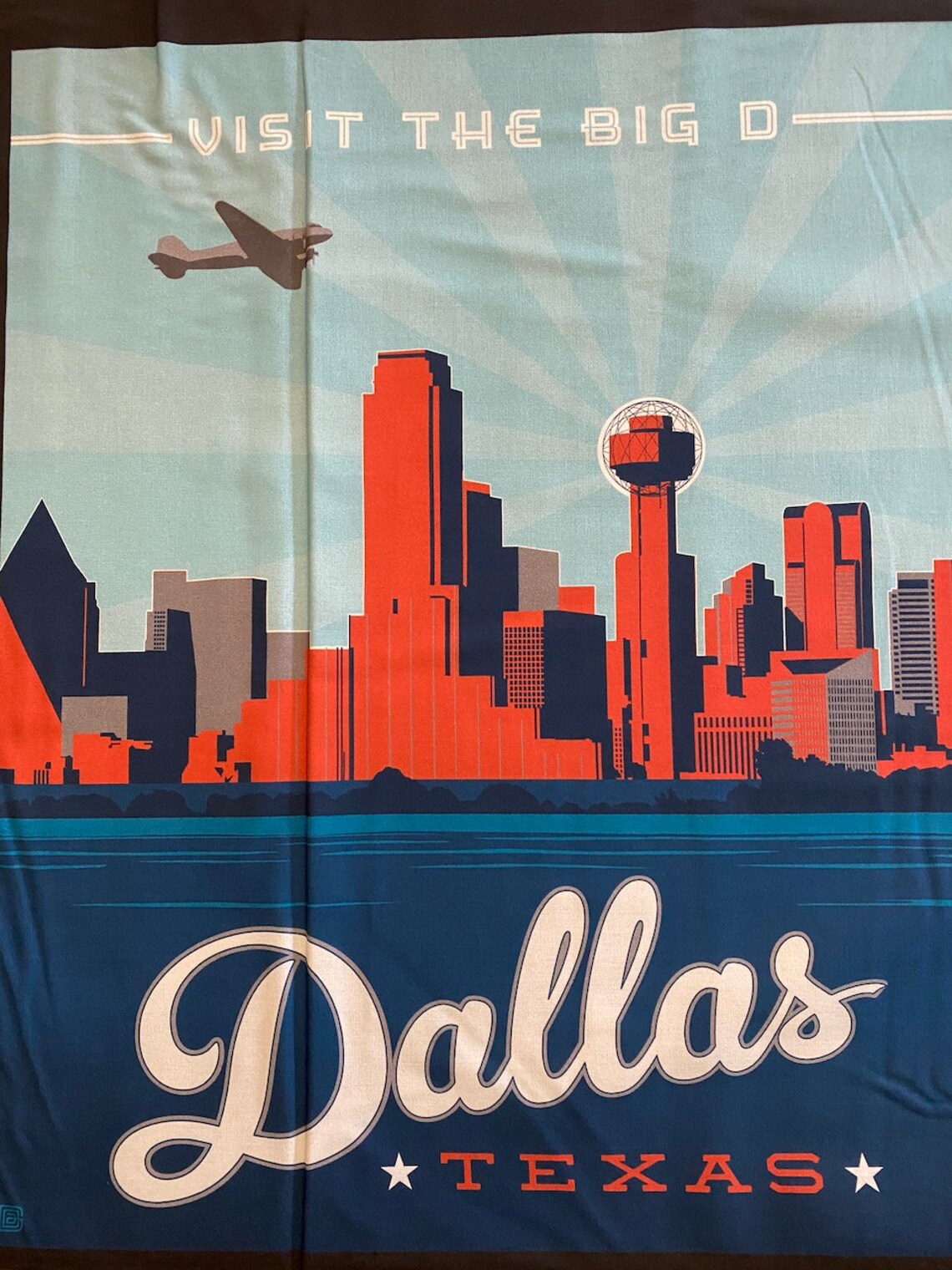 Destinations Texas Panel From Riley Blake Fabrics | Etsy