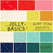 Jolly Basics Layer Cake by Ruby Star Society - Etsy