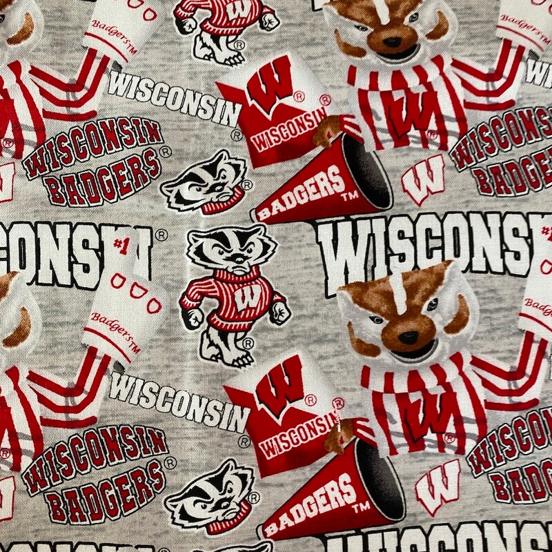 Wisconsin Badger - Etsy