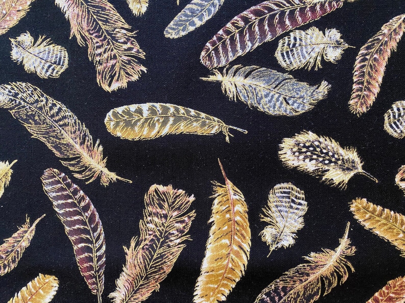 Metallic Feathers on Black From Harvest for Timeless Treasures | Etsy