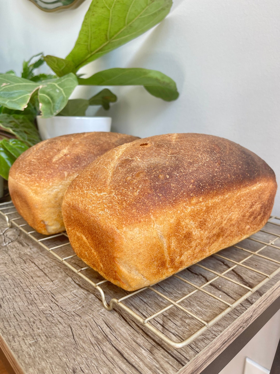 Organic Sourdough White SANDWICH Bread. Naturally Fermented Bread./wild ...
