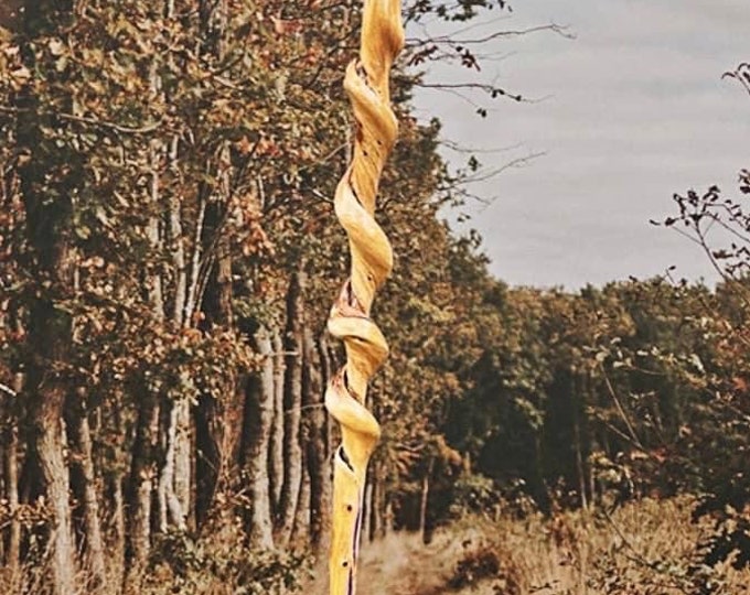 49 Vine Twisted White Oak Walking Stick Handmade & Finished USA - Etsy