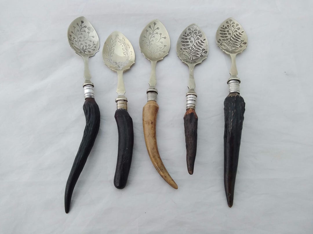 Collection of 5 Vintage Horn Handled Jam Preserve Spoons - Antique ...