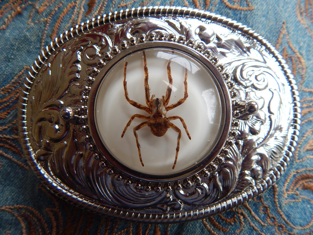 New Exclusive Ghost Spider Oval Belt Buckle Silver Colour Metal Ladies ...