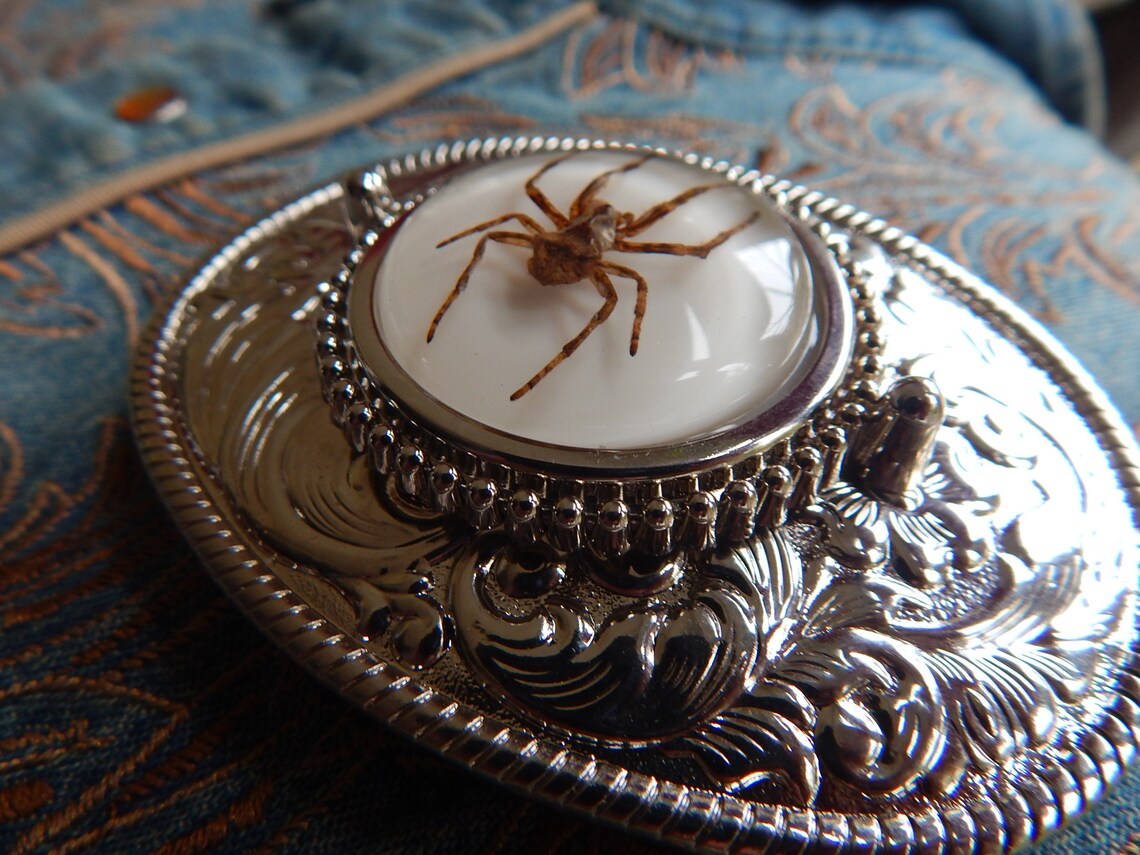 New Exclusive Ghost Spider Oval Belt Buckle Silver Colour | Etsy