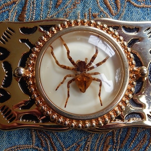 New Ghost Spider Belt Buckle Gold Coloured Metal Ladies Men Western ...