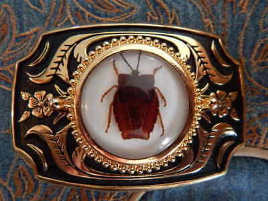 New Giant Lychee Stink Shield Bug Insect Gold / Black Metal Belt Buckle ...