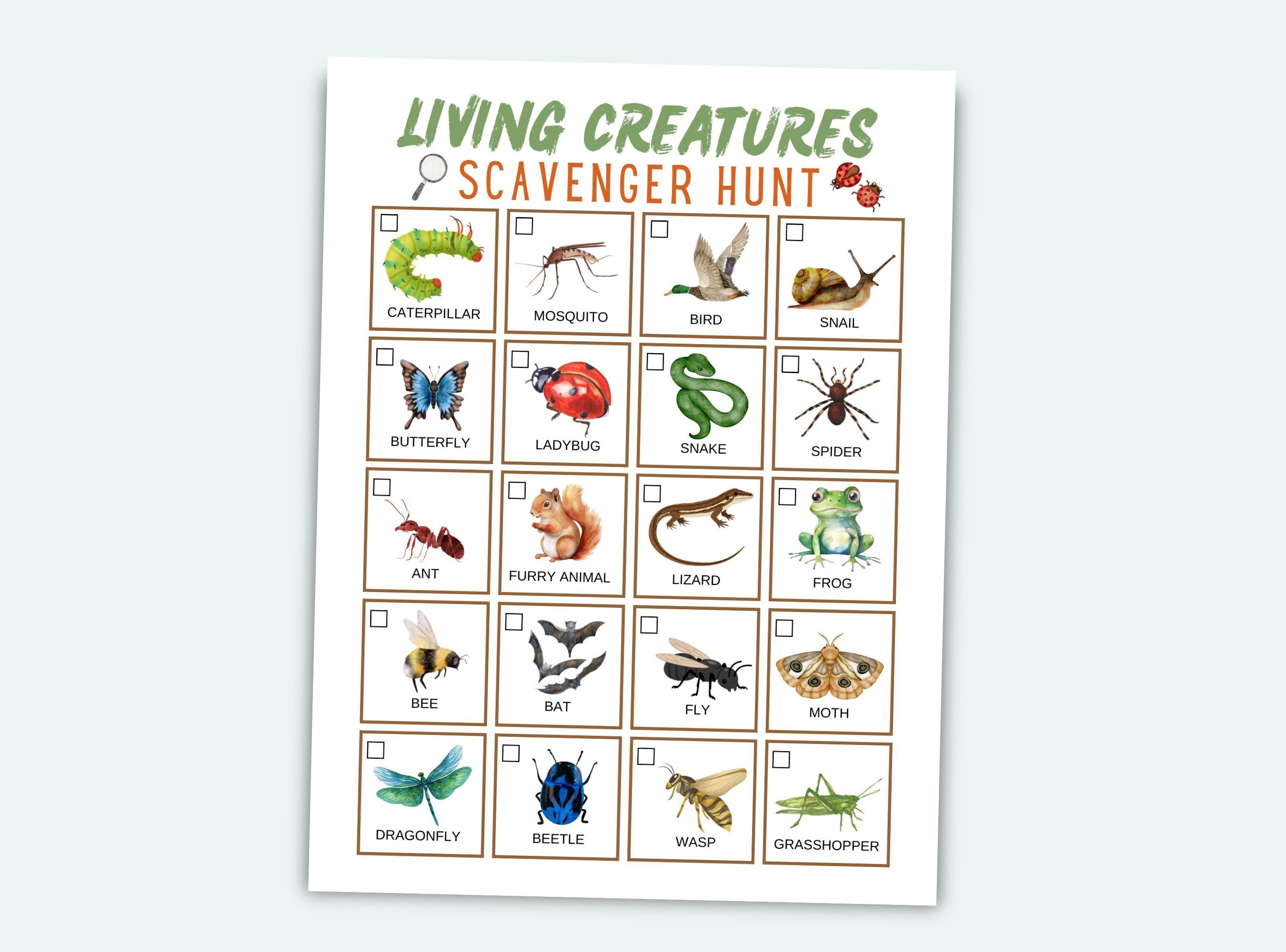 Nature Scavenger Hunt Printable for Kids Insect Scavenger Hunt Animal ...