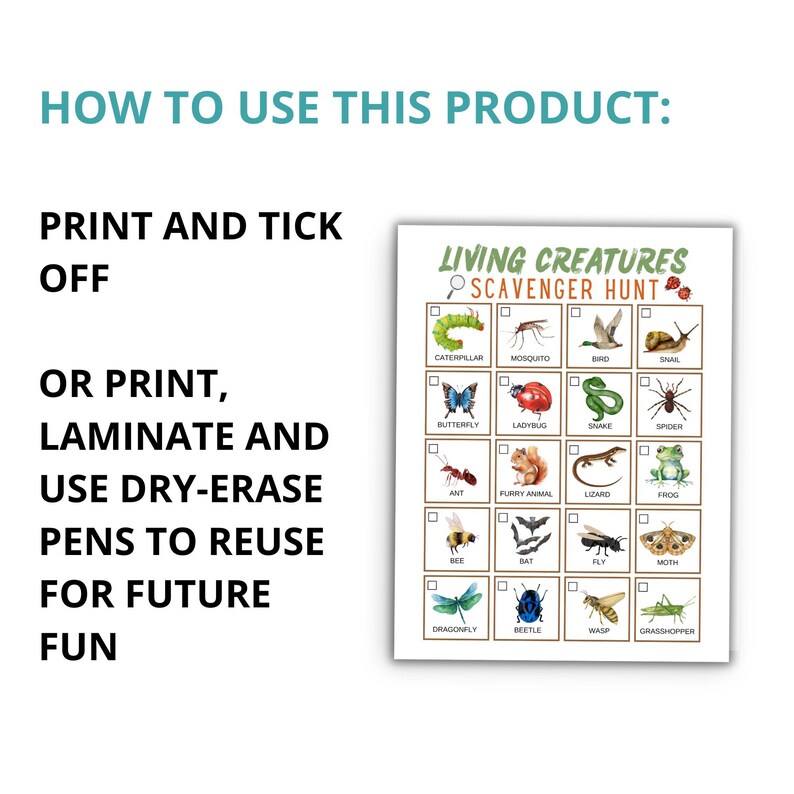 Nature Scavenger Hunt Printable for Kids Insect Scavenger Hunt Animal ...
