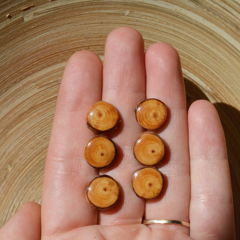 Earthy Wooden Ear Studs Natural Woodland Jewelry Made of | Etsy