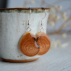 Irregular Organic Wood Earrings, Jewelry Made From Natural Timber and ...