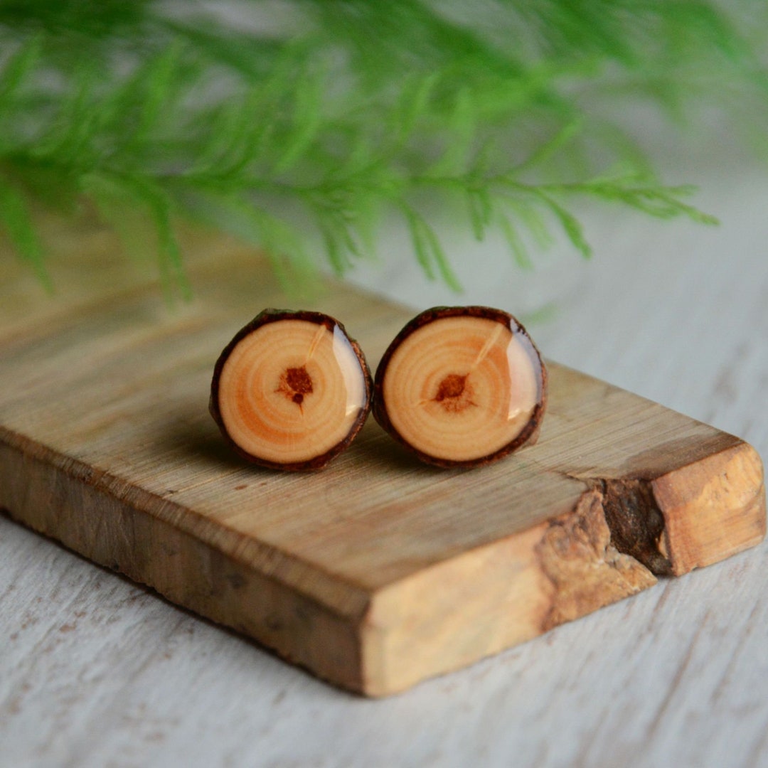 Earth Tone Rustic Stud Earrings, Wooden Earrings Made by Nature, Simple ...