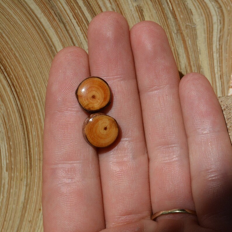 Earthy Wooden Ear Studs Natural Woodland Jewelry Made of | Etsy