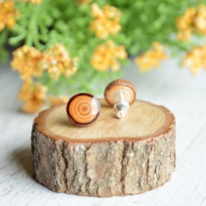 Wooden Studs Earrings Made From Natural Larch Wood, up Cycled Jewelry ...