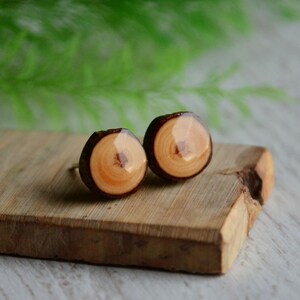 Earth Tone Rustic Stud Earrings, Wooden Earrings Made by Nature, Simple ...