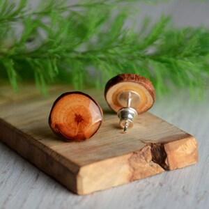 Pine Wood Earrings Made From Reclaimed Tree Branch, Minimal Wooden Ear ...