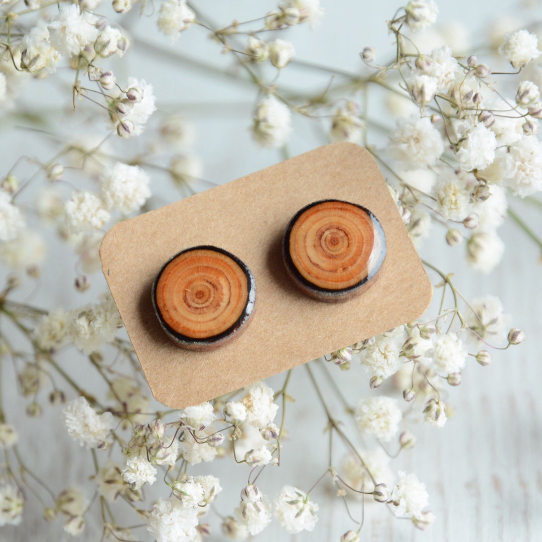 Larch Wood Earrings Inspired by Nature Jewelry, Unisex Ear Studs ...