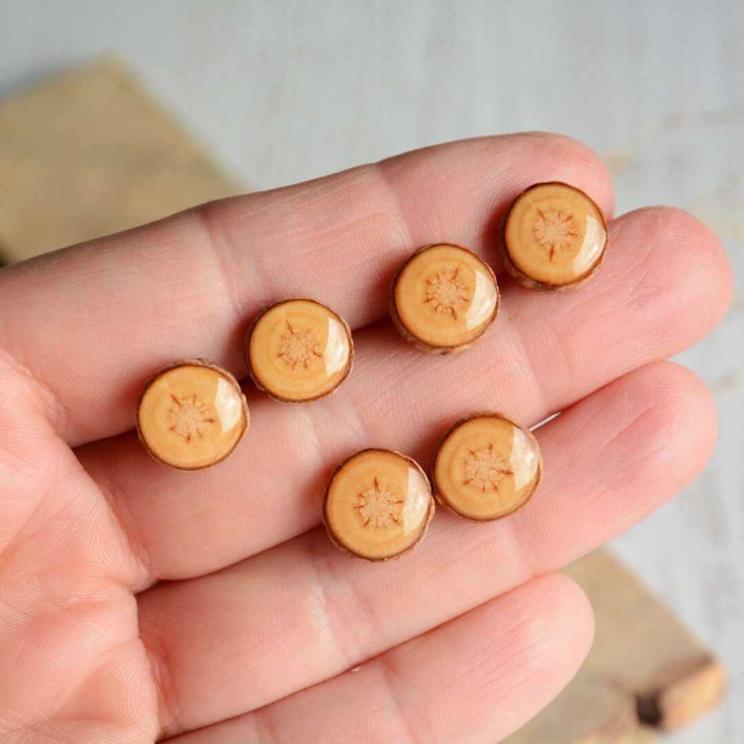 Wooden Ear Studs Made From Tree Branch and Silver, Natural Reclaimed ...