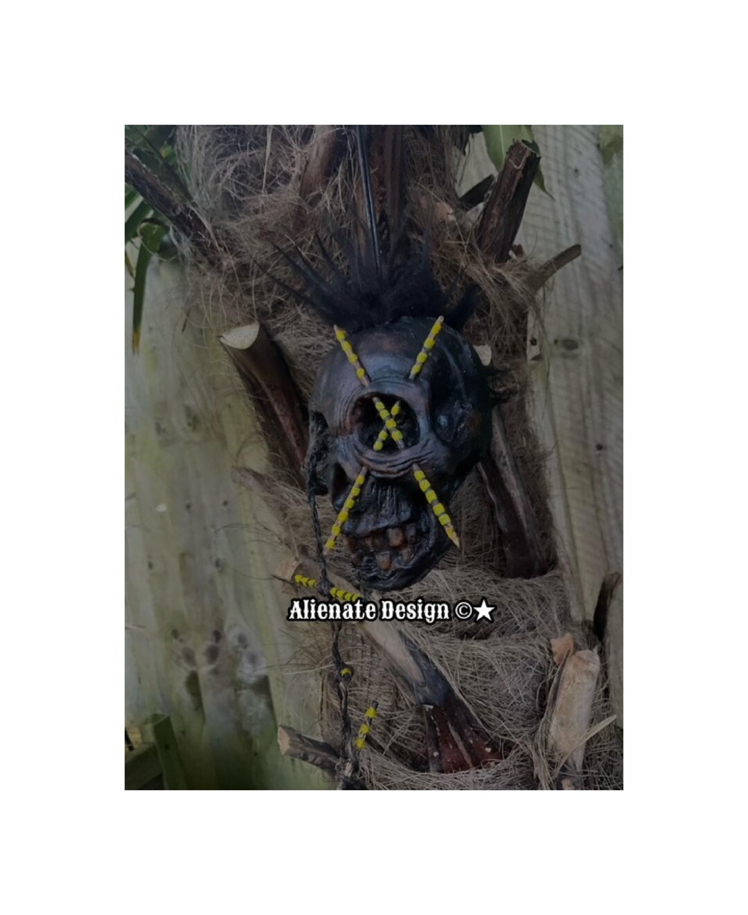 SHRUNKEN HEAD ZOMBIE Punk Tsantsa Skull Jivaro Headhunter Trophy Skull ...